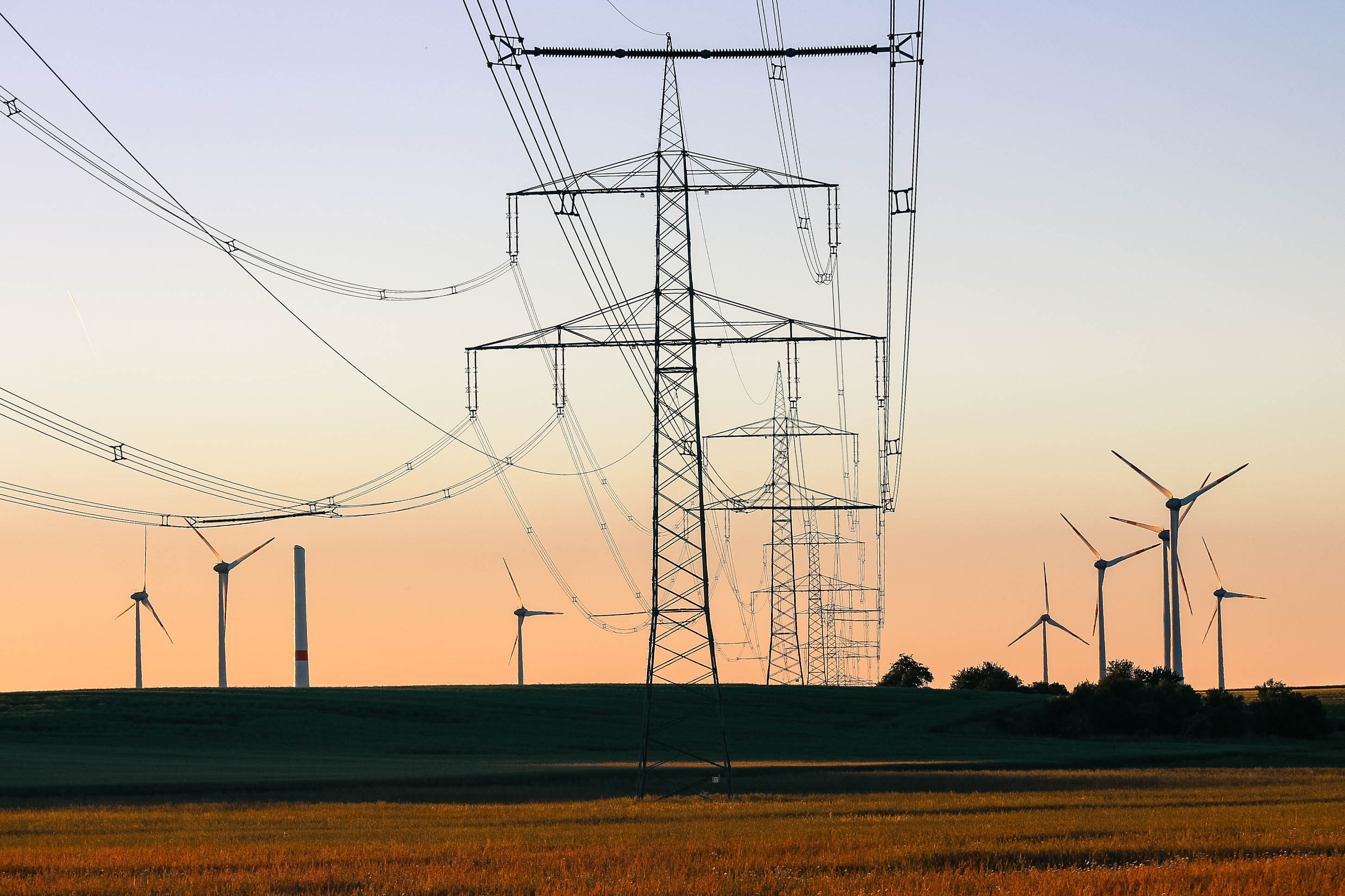 Digging deeper: How Nature-based Solutions are powering the future of transmission line projects